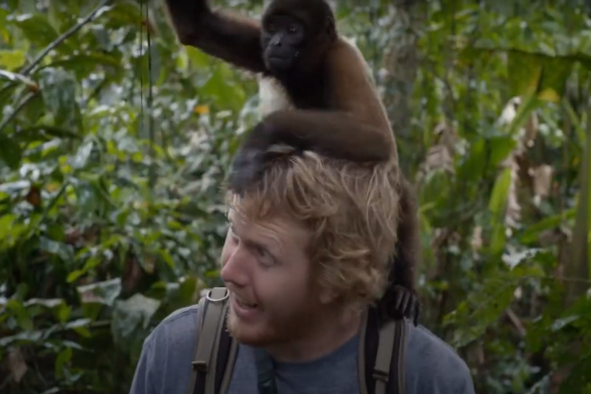 Quin Schrock - THE iNFLUENCER FORUM